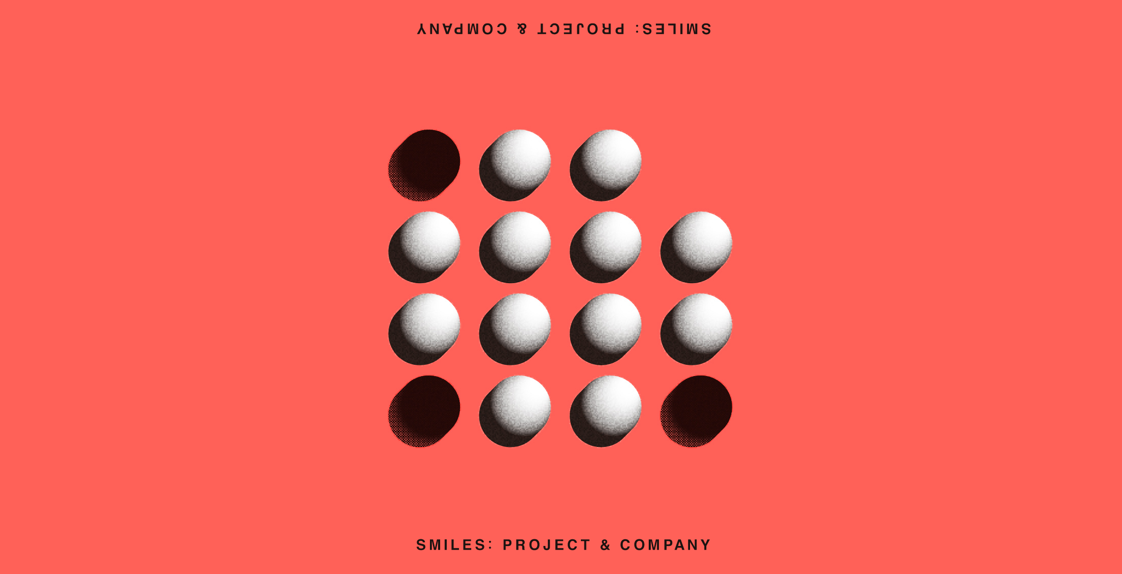 Smiles:PROJECT & COMPANY